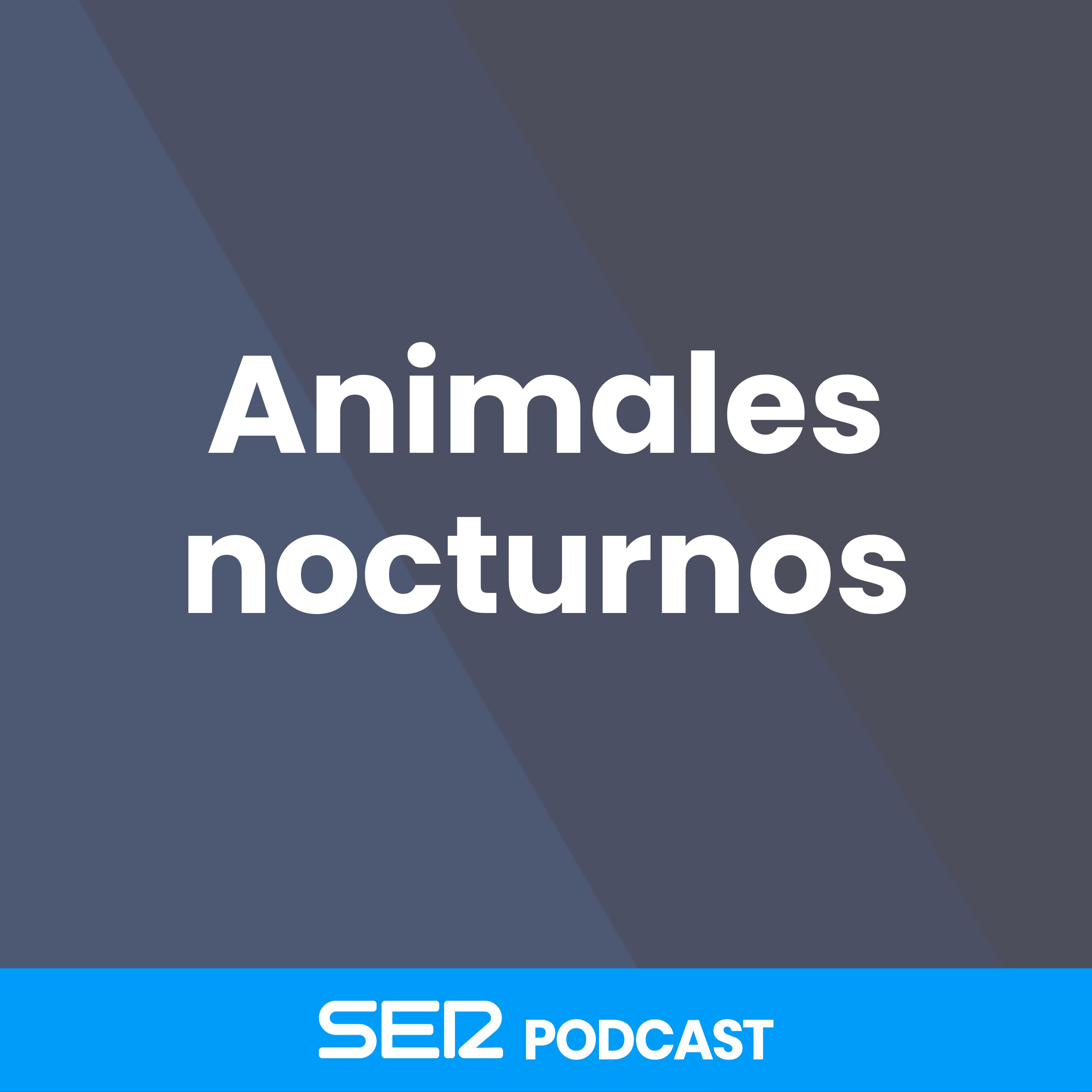SER Podcast: Escucha los podcasts de la SER